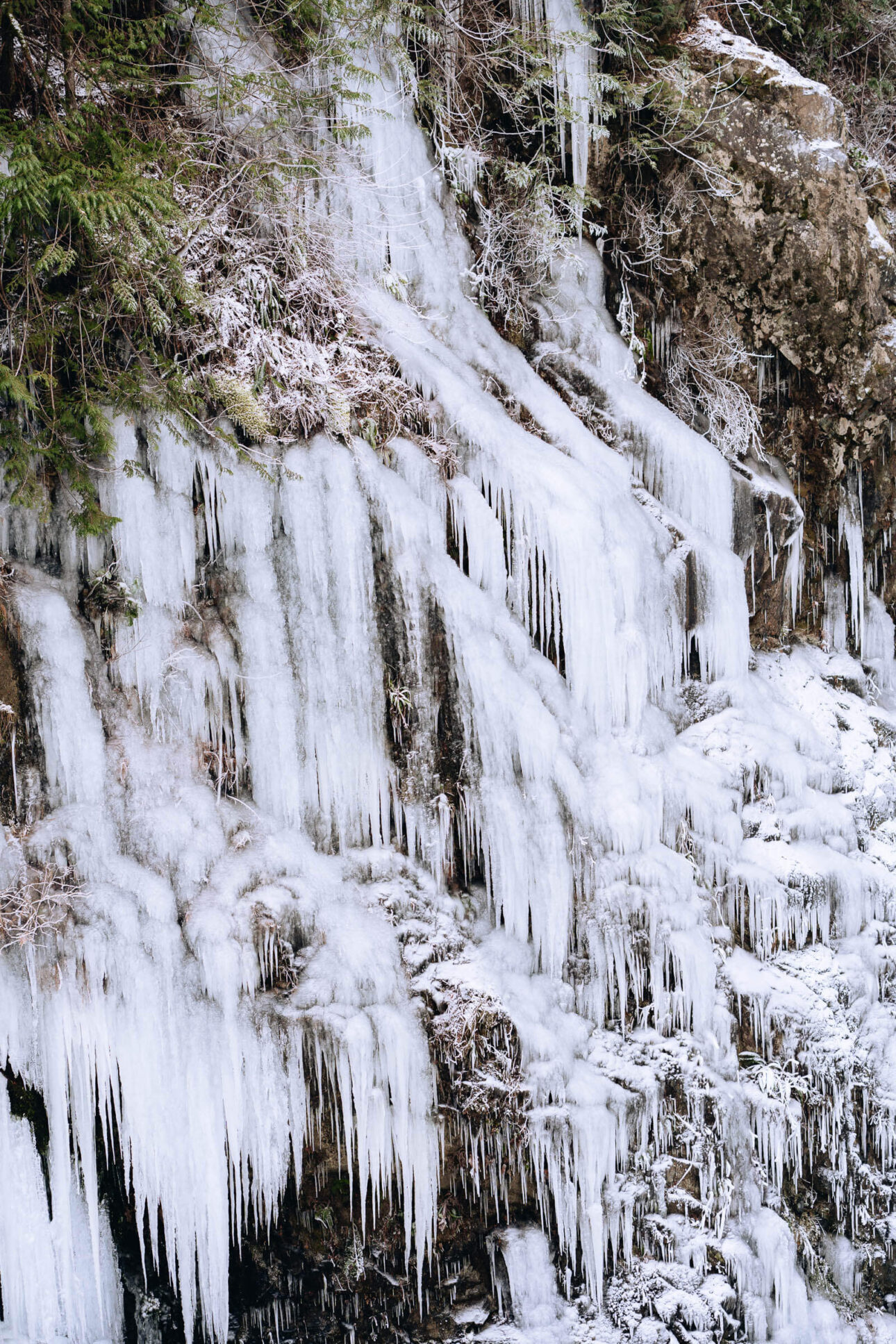 How To Visit Cascade Falls and Suspension Bridge near Vancouver