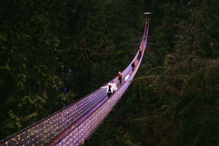 Capilano Suspension Bridge Park Vancouver - Visitor Guide (2026) | Roam ...
