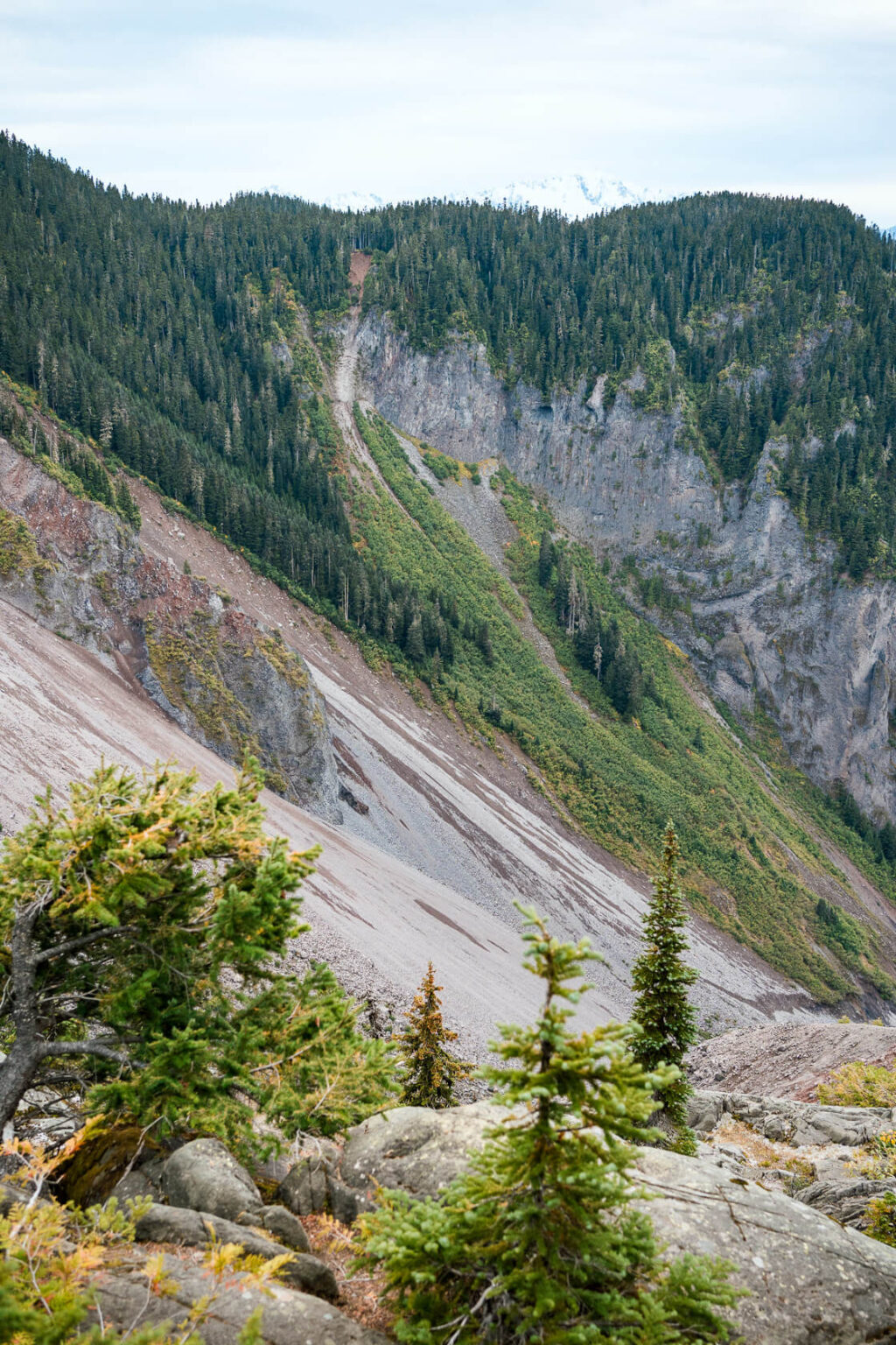 Panorama Ridge Hike: Possibly The Best Hike Near Vancouver