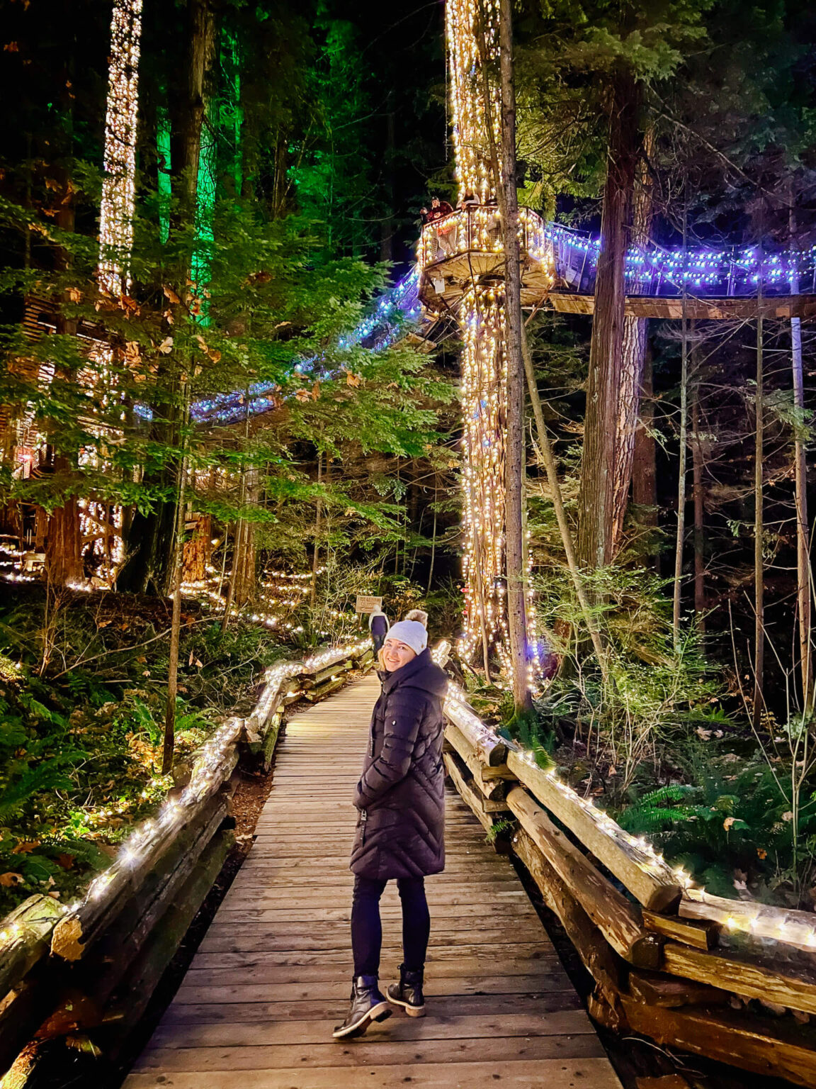 Capilano Suspension Bridge Park Vancouver - Visitor Guide (2026) | Roam ...